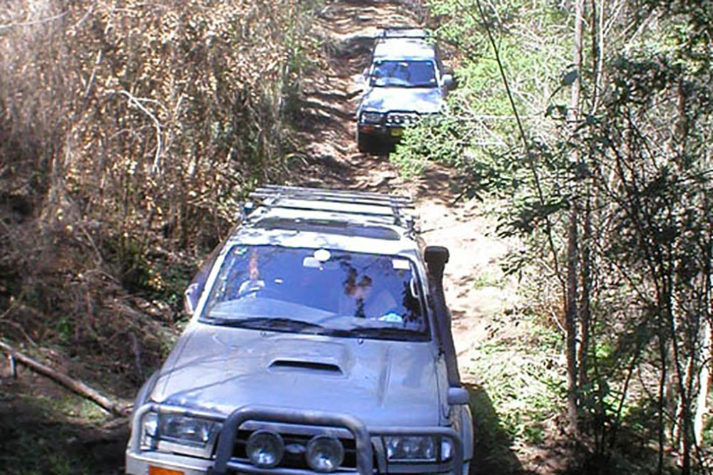 Big Yango Loop Trail - Visit Wollombi Valley