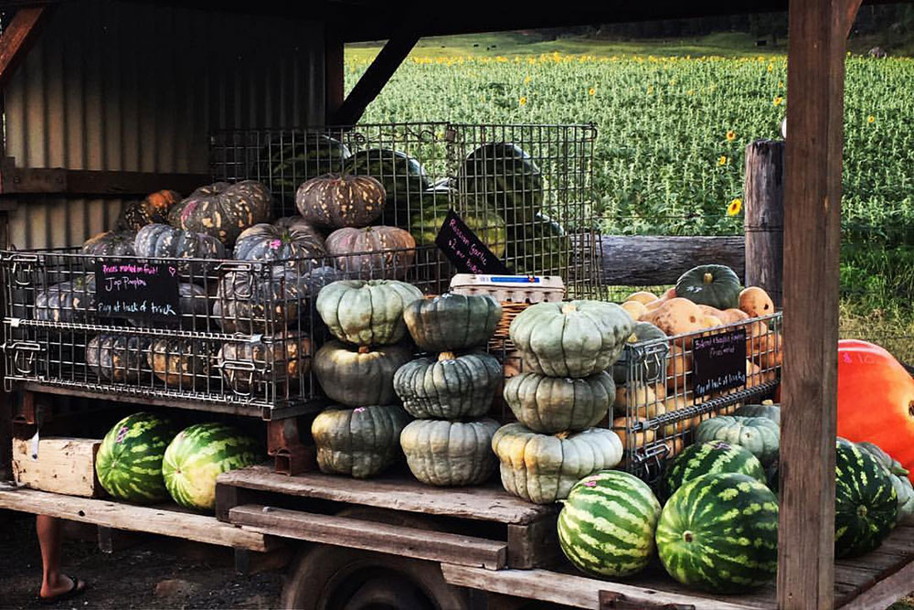 Moore Farm Fresh Produce - Visit Wollombi Valley