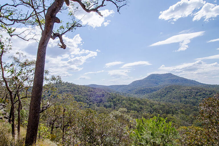 Bushwalking NSW | Great walks around Wollombi in the Hunter Valley
