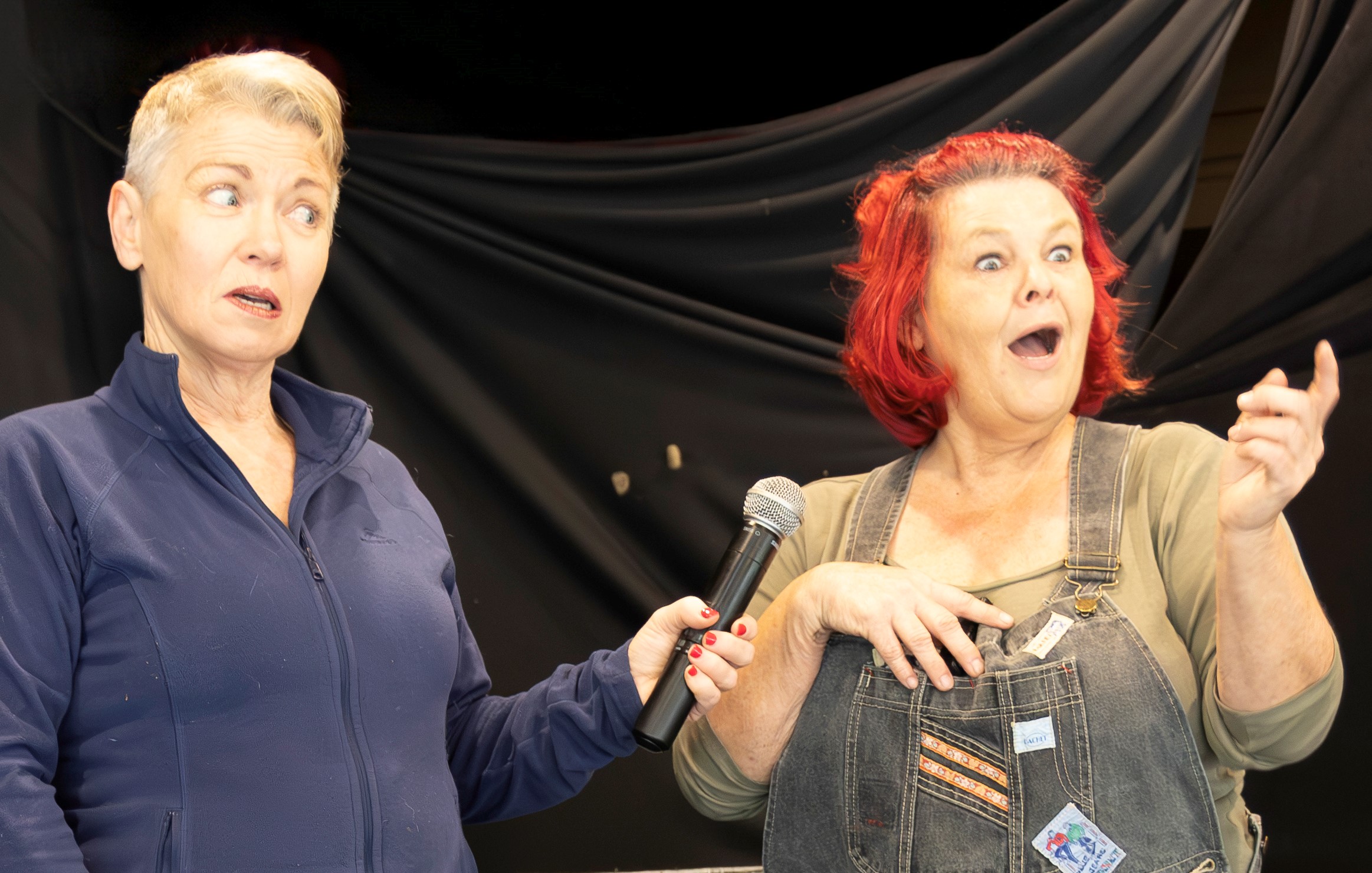 Award winning play 'Zoo' at the Harp of Erin Theatre - Visit Wollombi ...